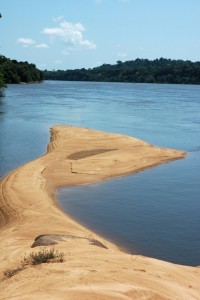 Geophagus brachybranchus — Seriously Fish