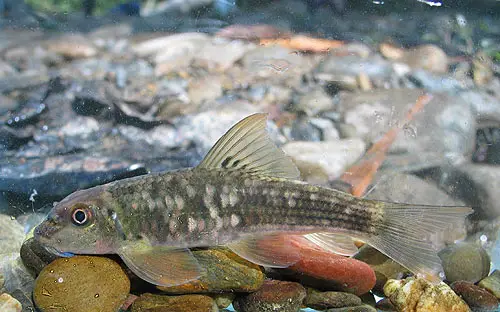 Seriously Fish — Feeling fishy?